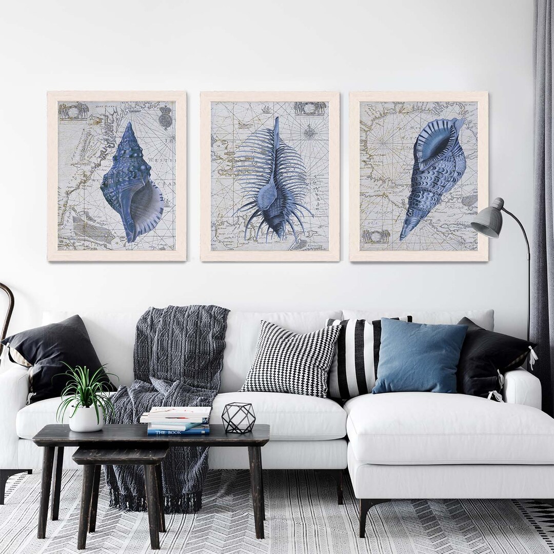 Nautical Art Prints Shell Art Seashell Collection Set of 3 - Shell ...