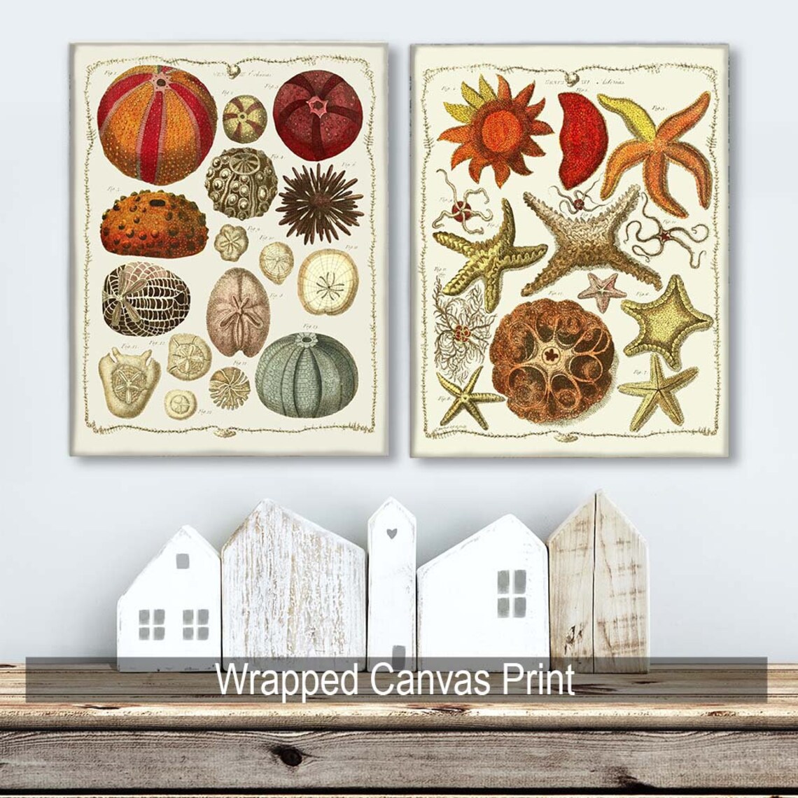 Starfish and Sea Urchin Prints Set of 2 Nautical Print Beach - Etsy UK