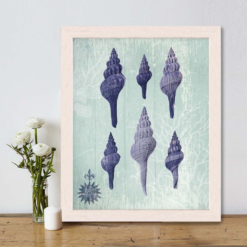Seashell art print Collection 2 on Blue Shell decor Sea | Etsy