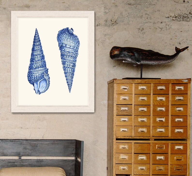 Shell Wall Art - Blue Shell Duo 1 - Seashell Art Print Sea Shell Print ...