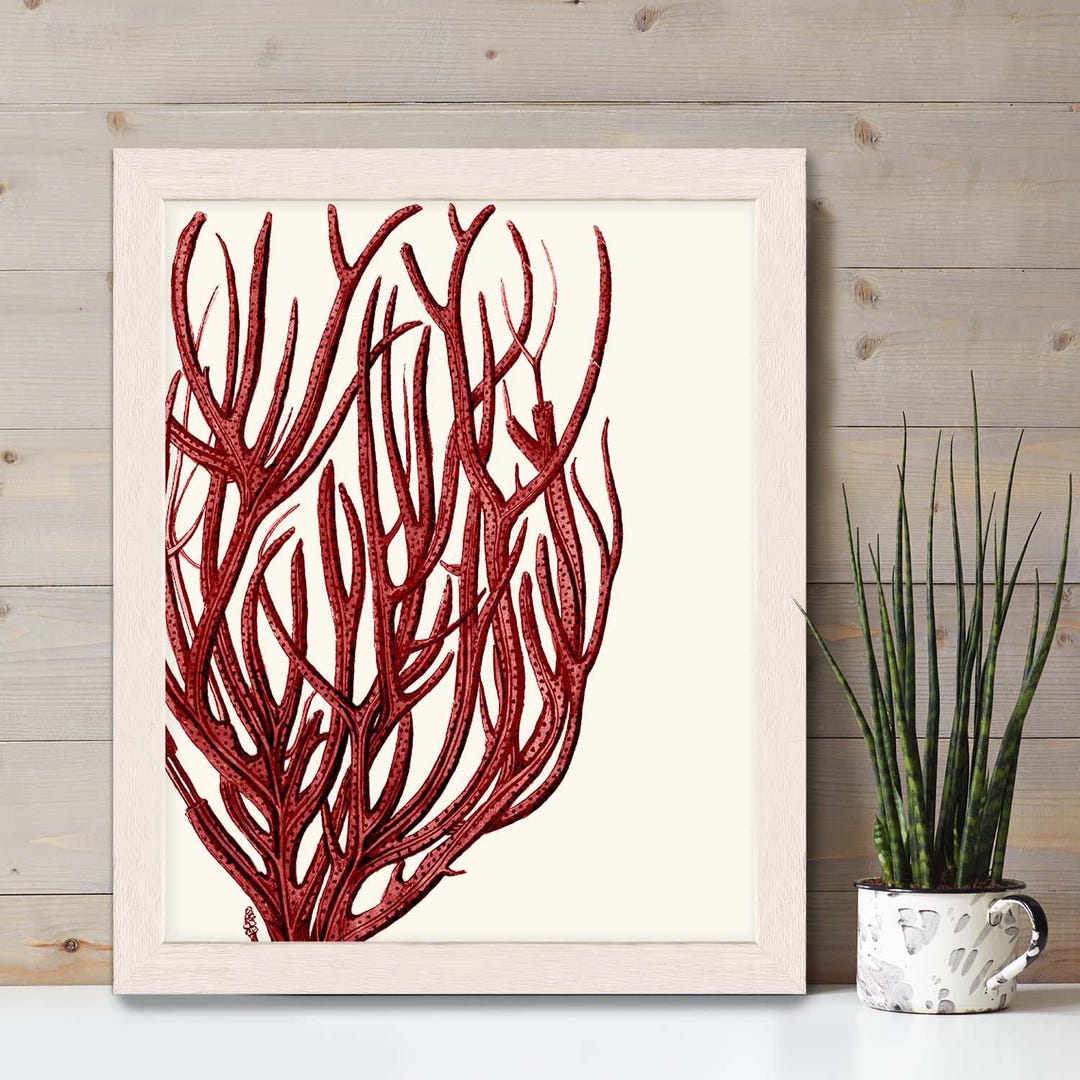 Red Coral 5, Coral Print - Nautical Print Coral Beach Decor Sea Coral ...