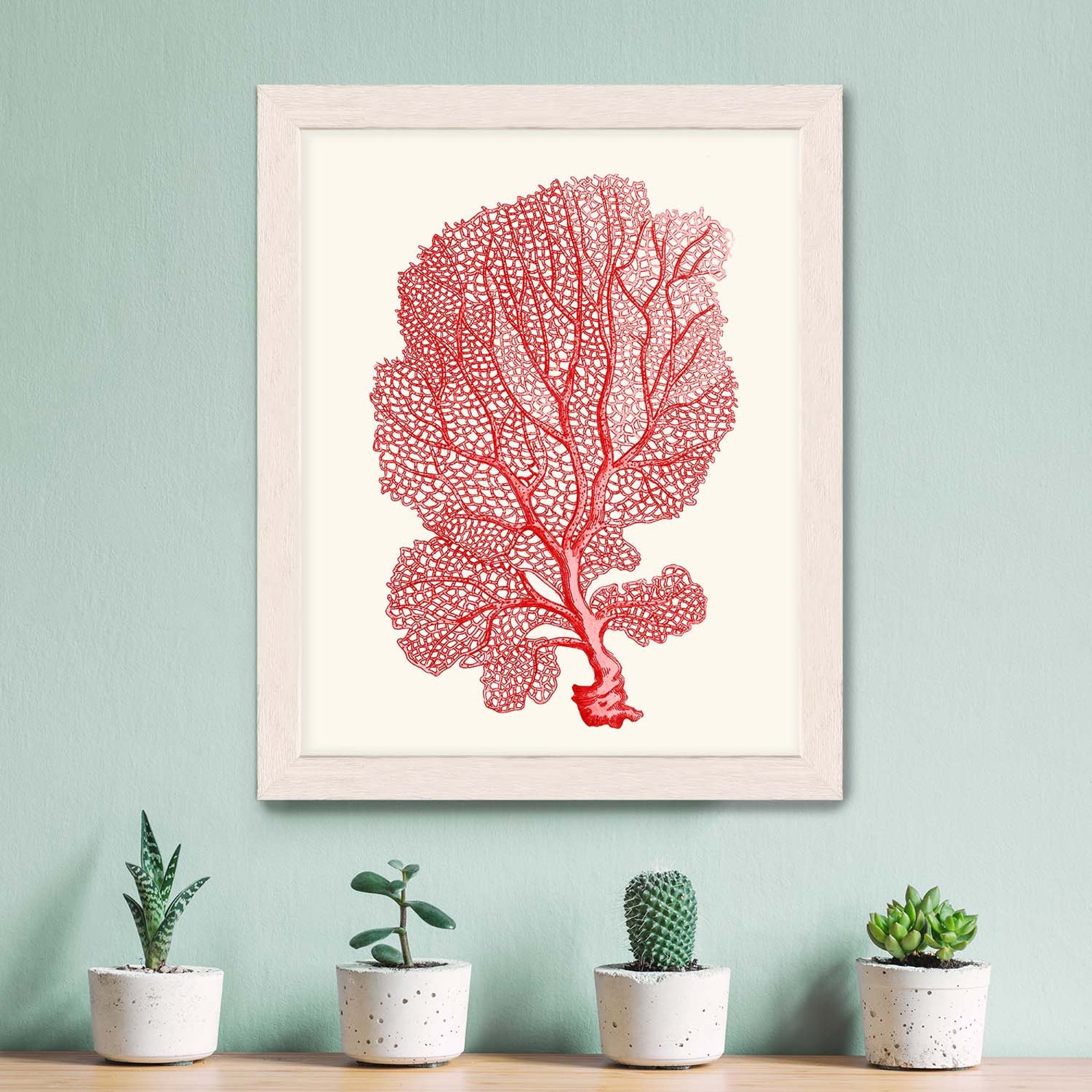 Coral Sea Fan Red Nautical Print Sea Picture Beach Decor - Etsy