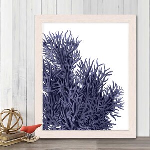 Coral Beach Decor - Coral 9 in Blue - Sea Coral Wall Art Sea Coral ...