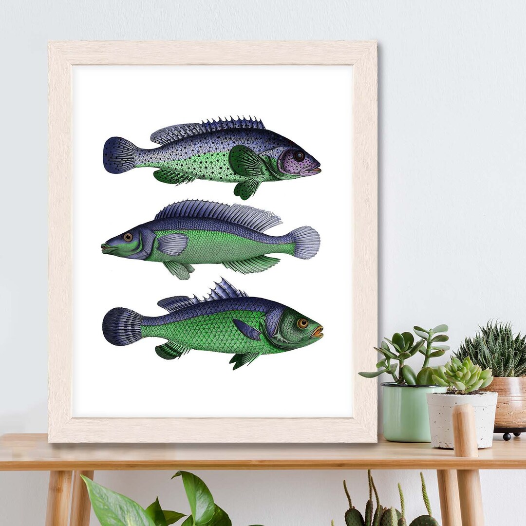 Fish Art Print - Blue/green Fantasy Fish - Fish Print Fishing Gift ...