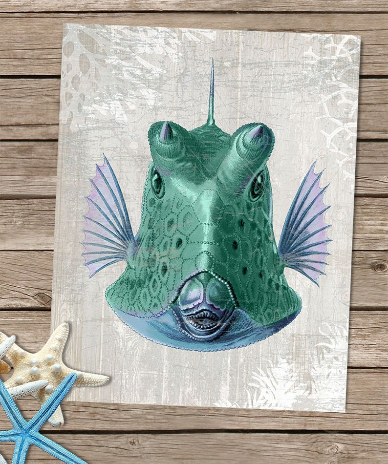 Cowfish Fish Art Print Nautical Print Sea Picture Beach - Etsy