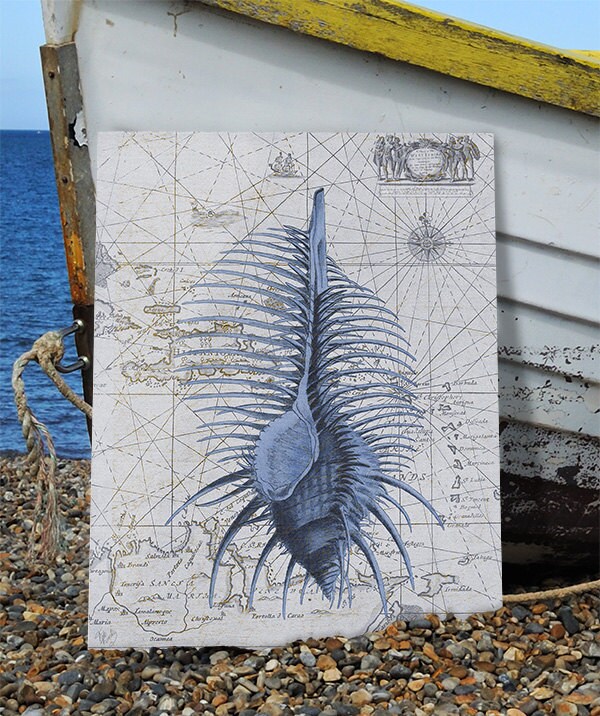 Blue Seashell art print on Nautical Map Print 2 Shell wall | Etsy