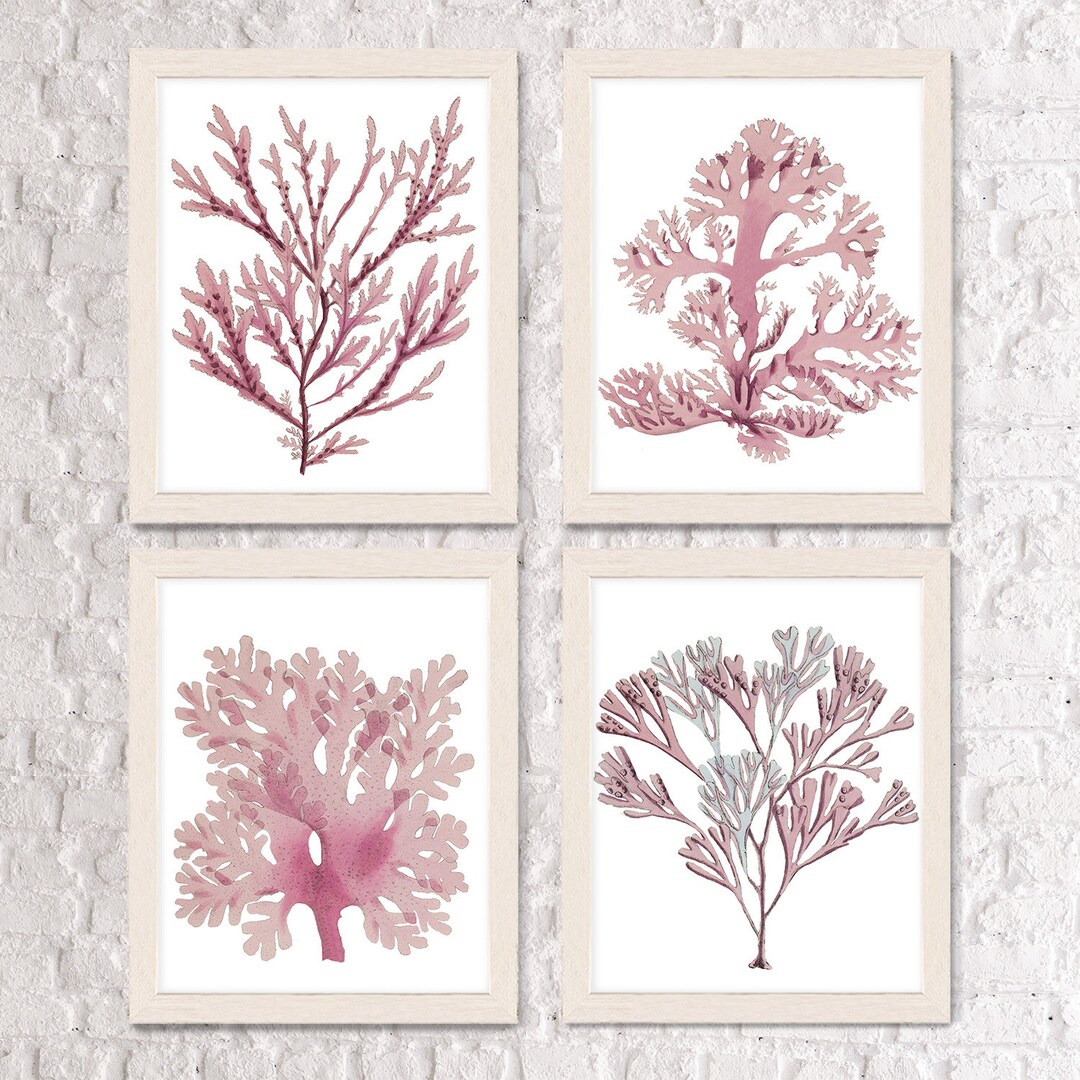 Pink Coral Prints Set 4 Corals in Pink 1 Coral Wall Art Sea Coral Print ...
