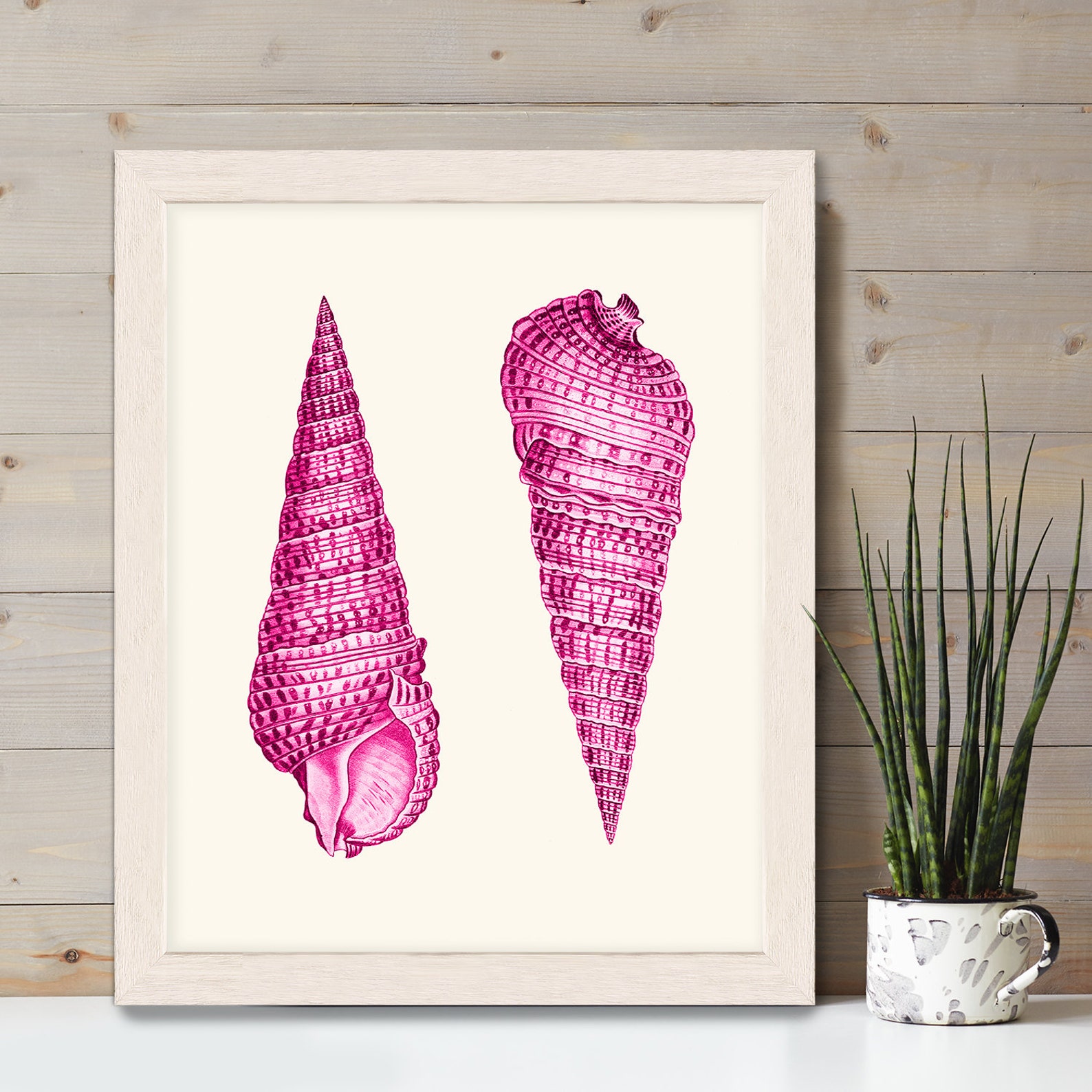 Seashell Art Print Pink Shell Duo 1 Sea Shell Art Print | Etsy