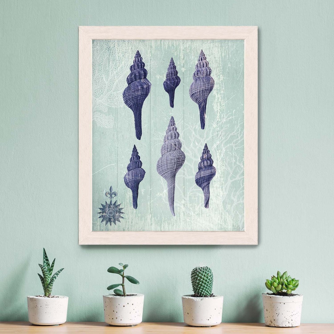 Seashell Art Print - Collection 2 on Blue, Shell Decor Sea Shell Art ...