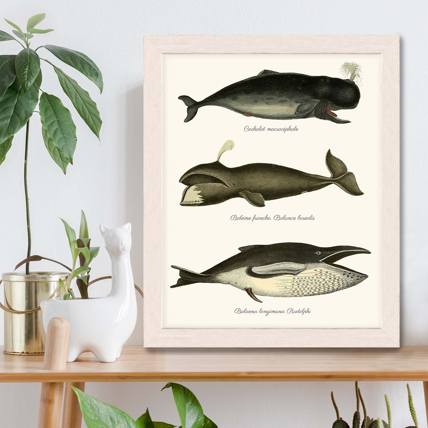 Whale poster Trio of Whales whale print whale art print | Etsy