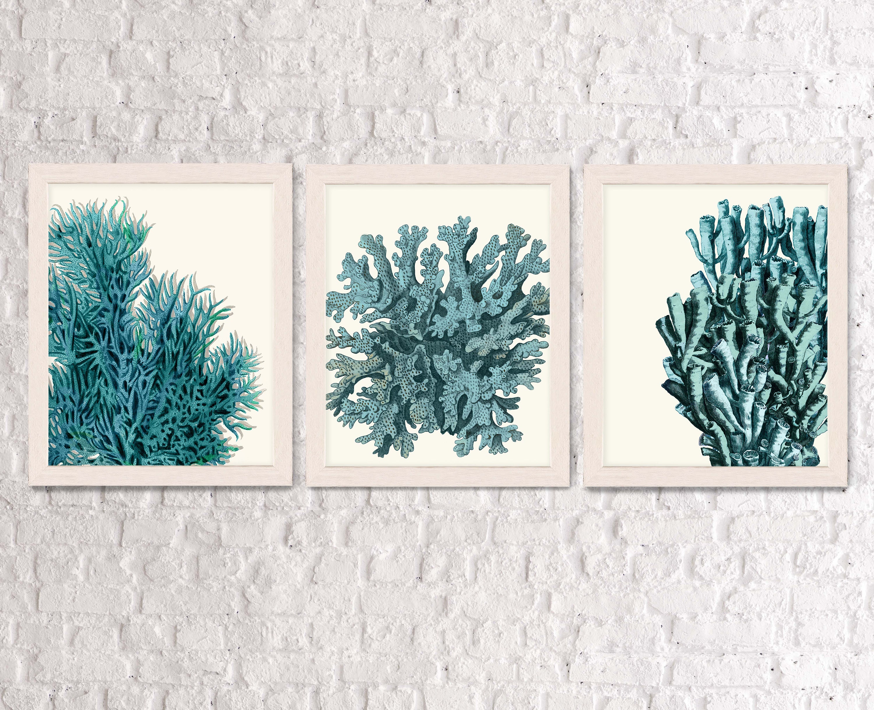 Sea Coral prints Set 3 prints Turquoise coral 2 turquoise | Etsy
