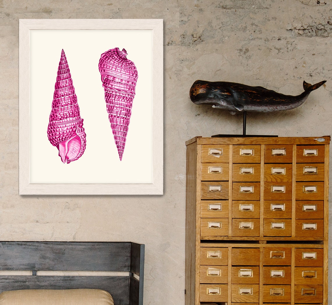 Seashell Art Print Pink Shell Duo 1 Sea Shell Art Print - Etsy