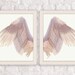 Angel Wings Canvas, Pink Wings Print, Set of 2 Prints, Dusty Pink Decor ...