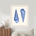 Shell Wall Art Blue Shell Duo 1 Seashell Art Print Sea - Etsy