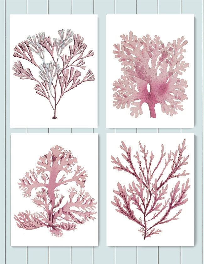 Pink Coral prints Set 4 Corals in Pink 1 coral wall art sea | Etsy