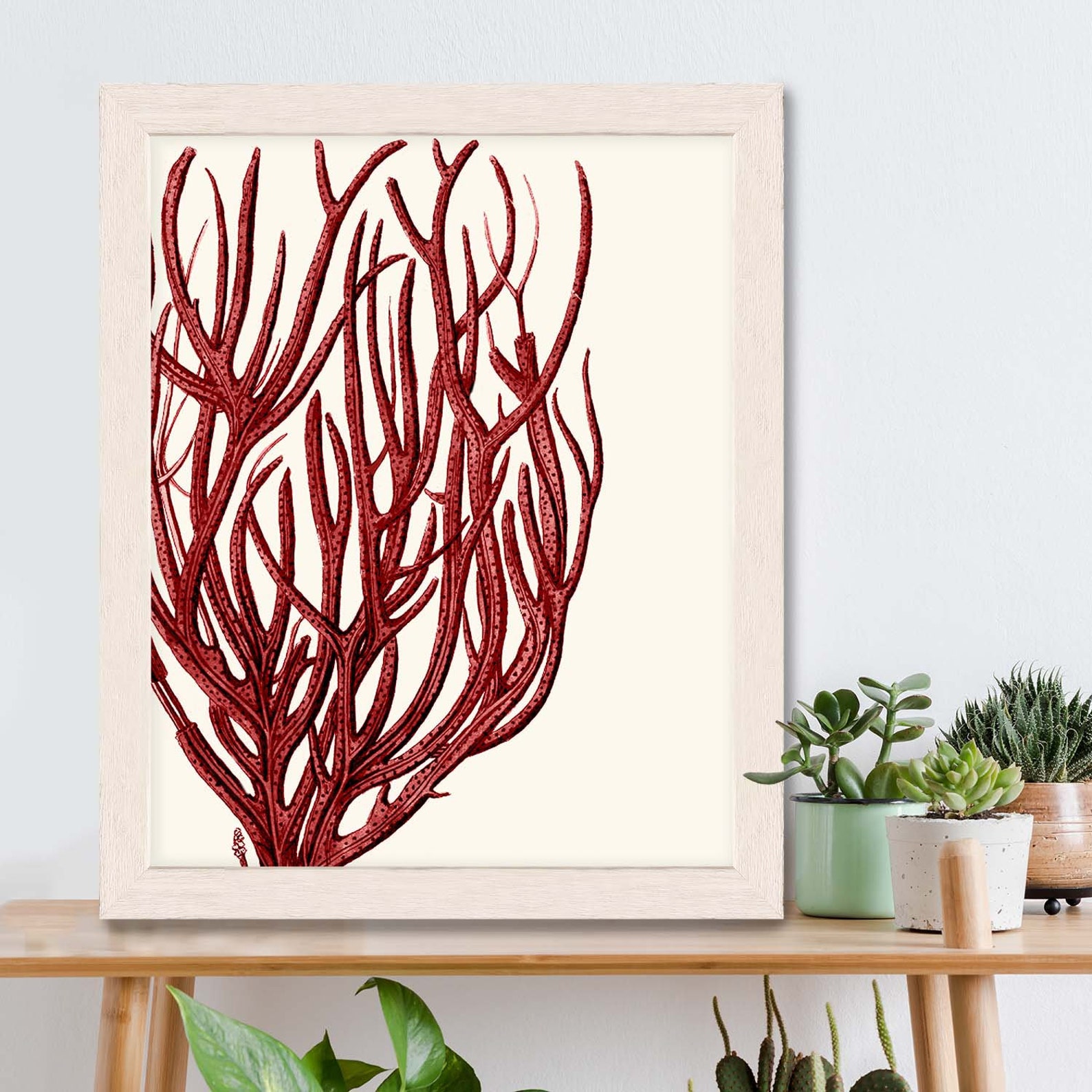 Red Coral 5 Coral Print Nautical Print Coral Beach Decor | Etsy