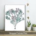 Sea Coral Prints - Set of 4 Corals in Green - Nautical Art Prints ...