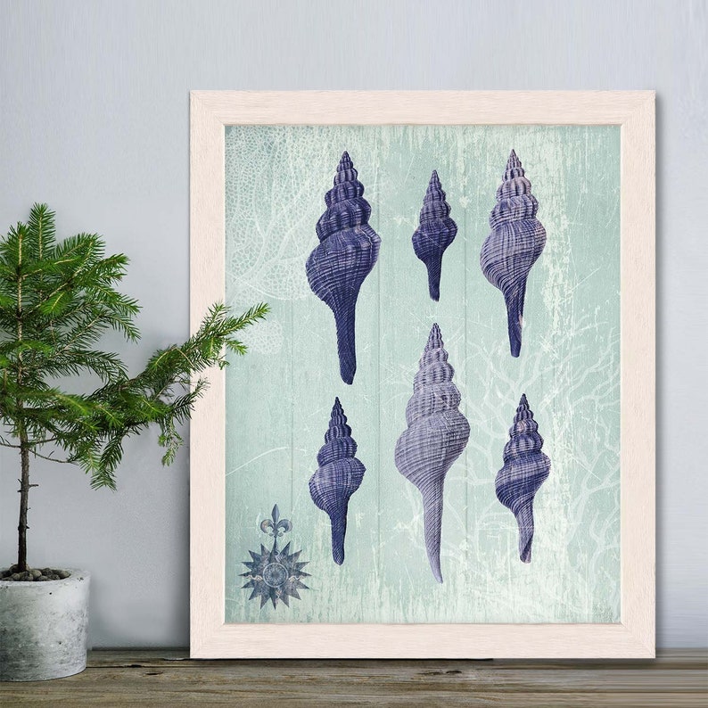 Seashell art print Collection 2 on Blue Shell decor Sea | Etsy