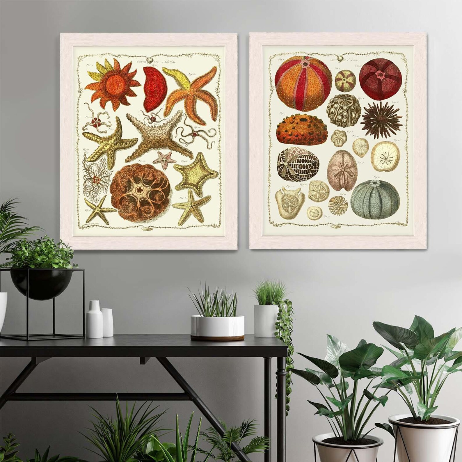 Starfish and Sea Urchin Prints, Set of 2 Nautical Print Beach Decor ...