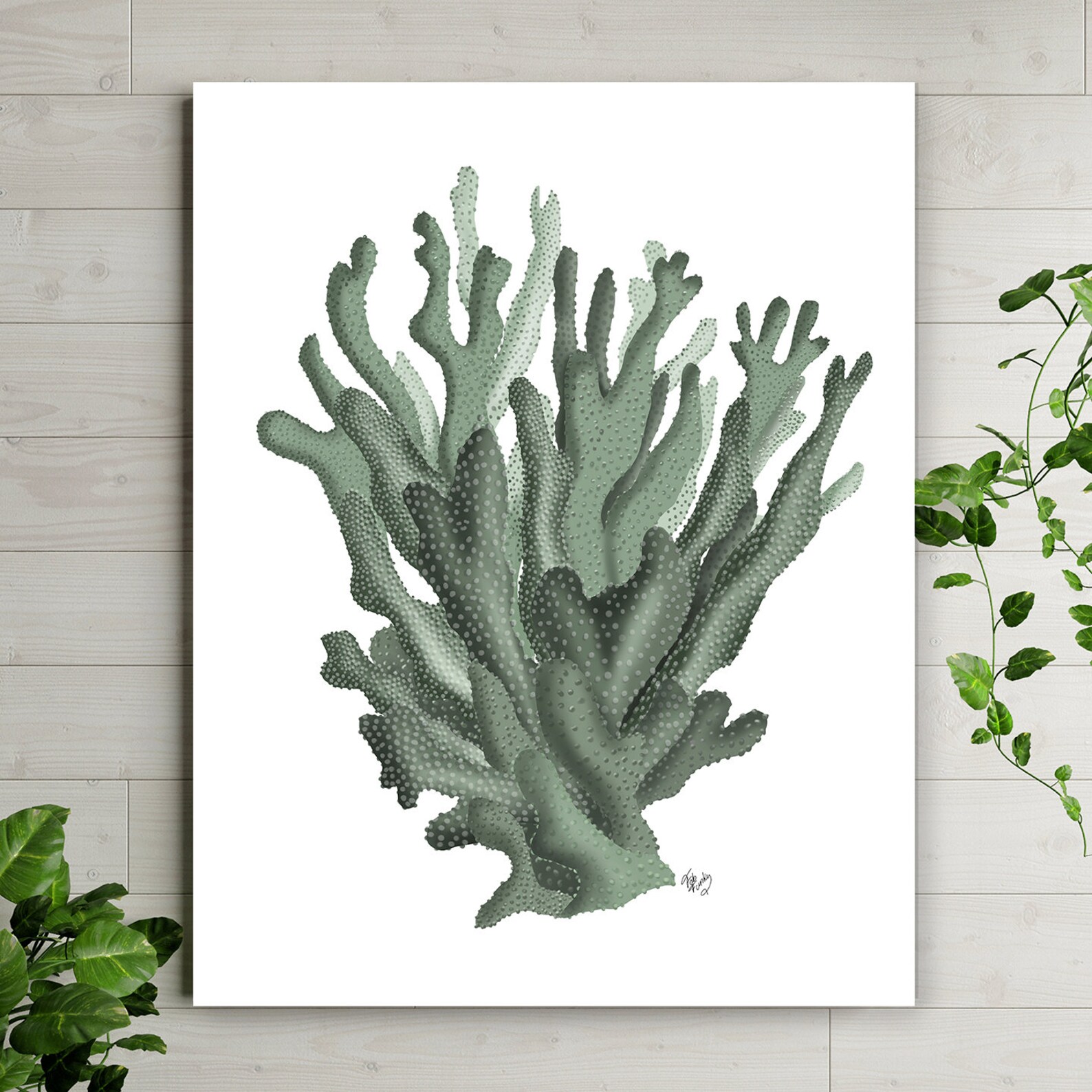 Coral Art Nautical Wall Art Green Room Decor Tropical - Etsy