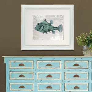 Turquoise Turret Fish Art Print - Nautical Print, Sea Picture, Beach ...