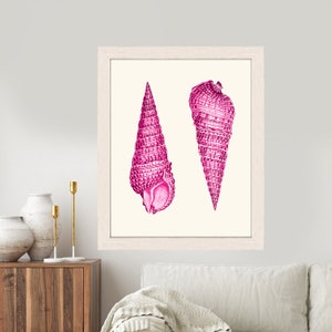 Seashell Art Print - Pink Shell Duo 1 - Sea Shell Art Print Sea Shell ...