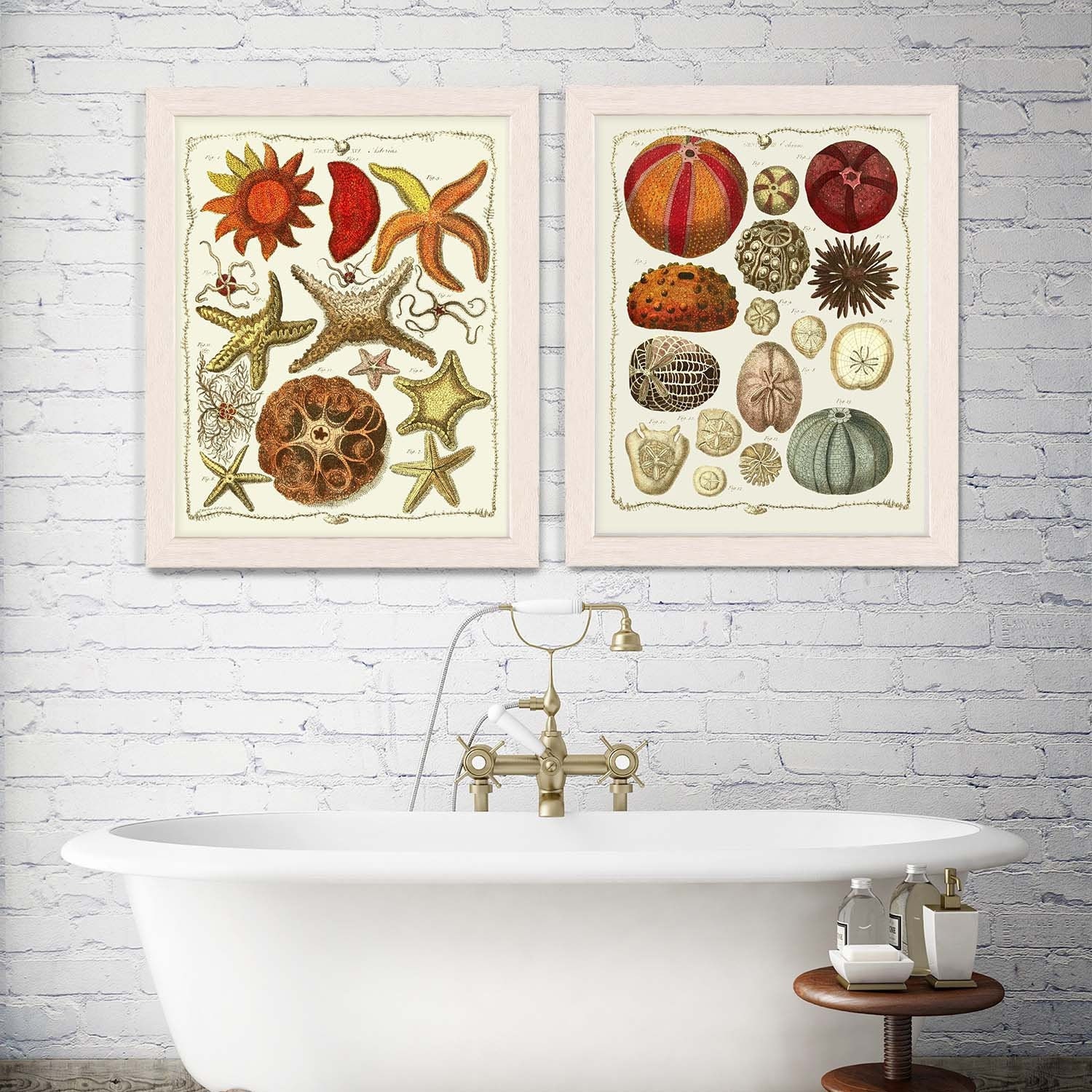 Starfish and Sea Urchin Prints Set of 2 Nautical Print Beach - Etsy UK