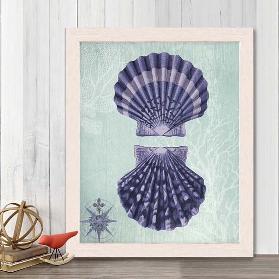 Blue Scallop Shell