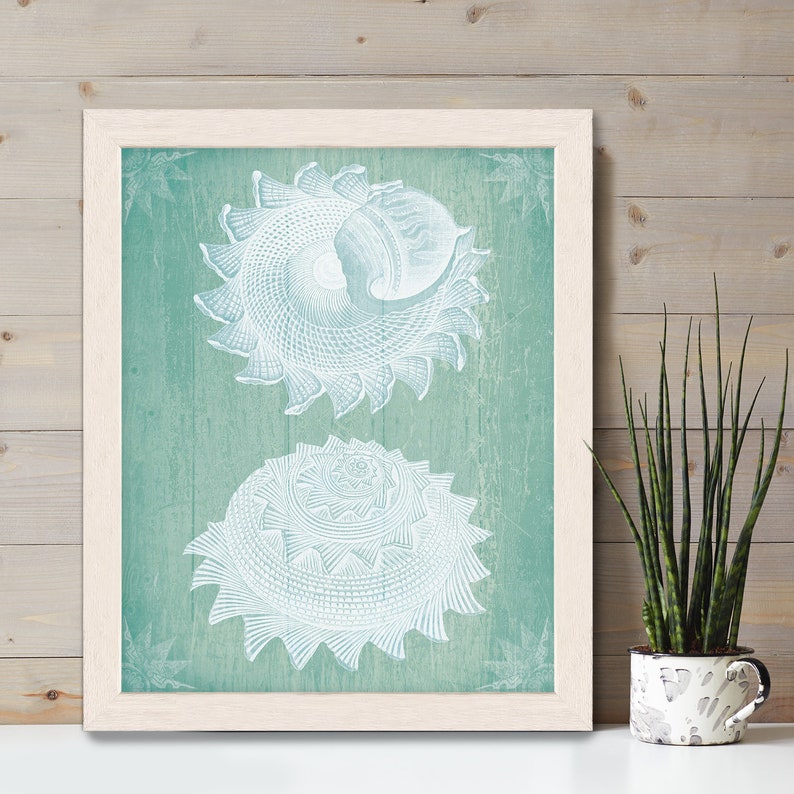 Seashell Print Two White Shells on Turquoise Sea Shell Art - Etsy