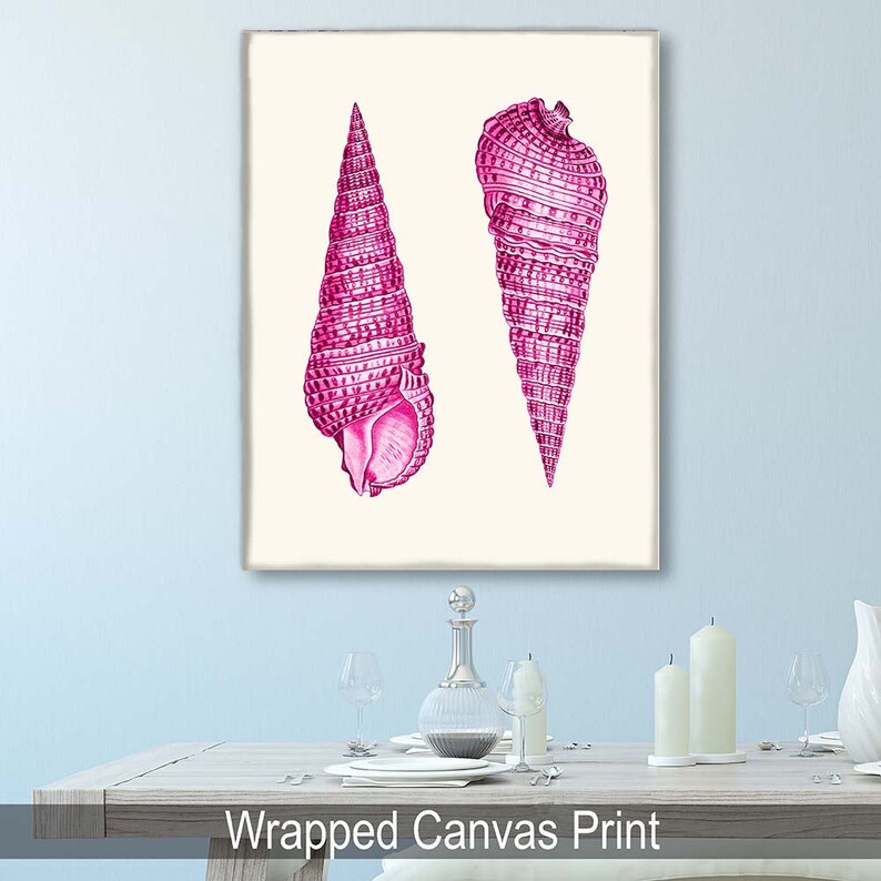 Seashell Art Print Pink Shell Duo 1 Sea Shell Art Print - Etsy