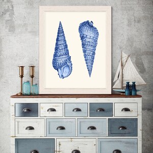 Shell Wall Art Blue Shell Duo 1 Seashell Art Print Sea Shell Print ...