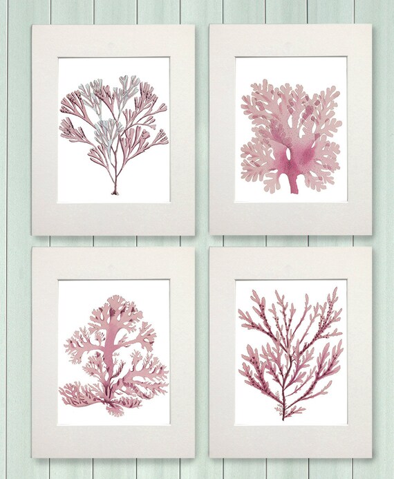 Pink Coral prints Set 4 Corals in Pink 1 coral wall art sea | Etsy