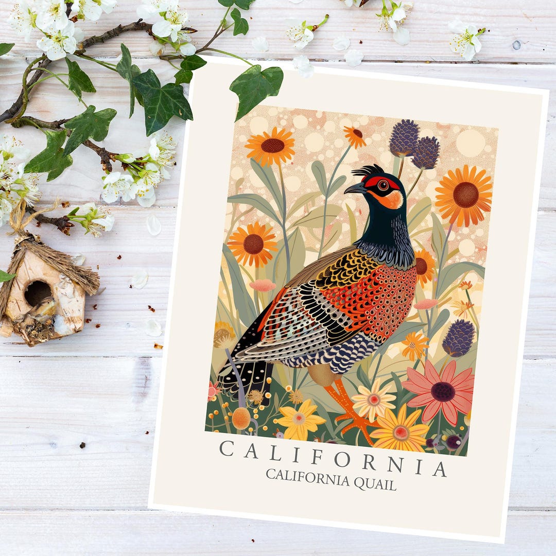 California Quail State Bird Print, Modern Abstract Style Wall Art Home ...