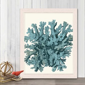 Sea Coral Wall Art- Turquoise Coral 10 - Coral Print Nautical Bedroom ...