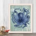 Large Octopus Poster Giant Octopus in Blue Octopus Print 18x40inches ...