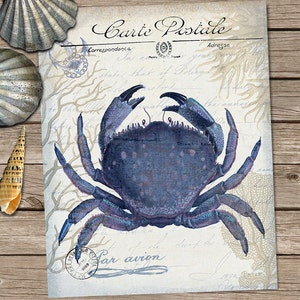 Blue Crab Art Print Seaside Postcard Crab Print on Cream Beach House ...