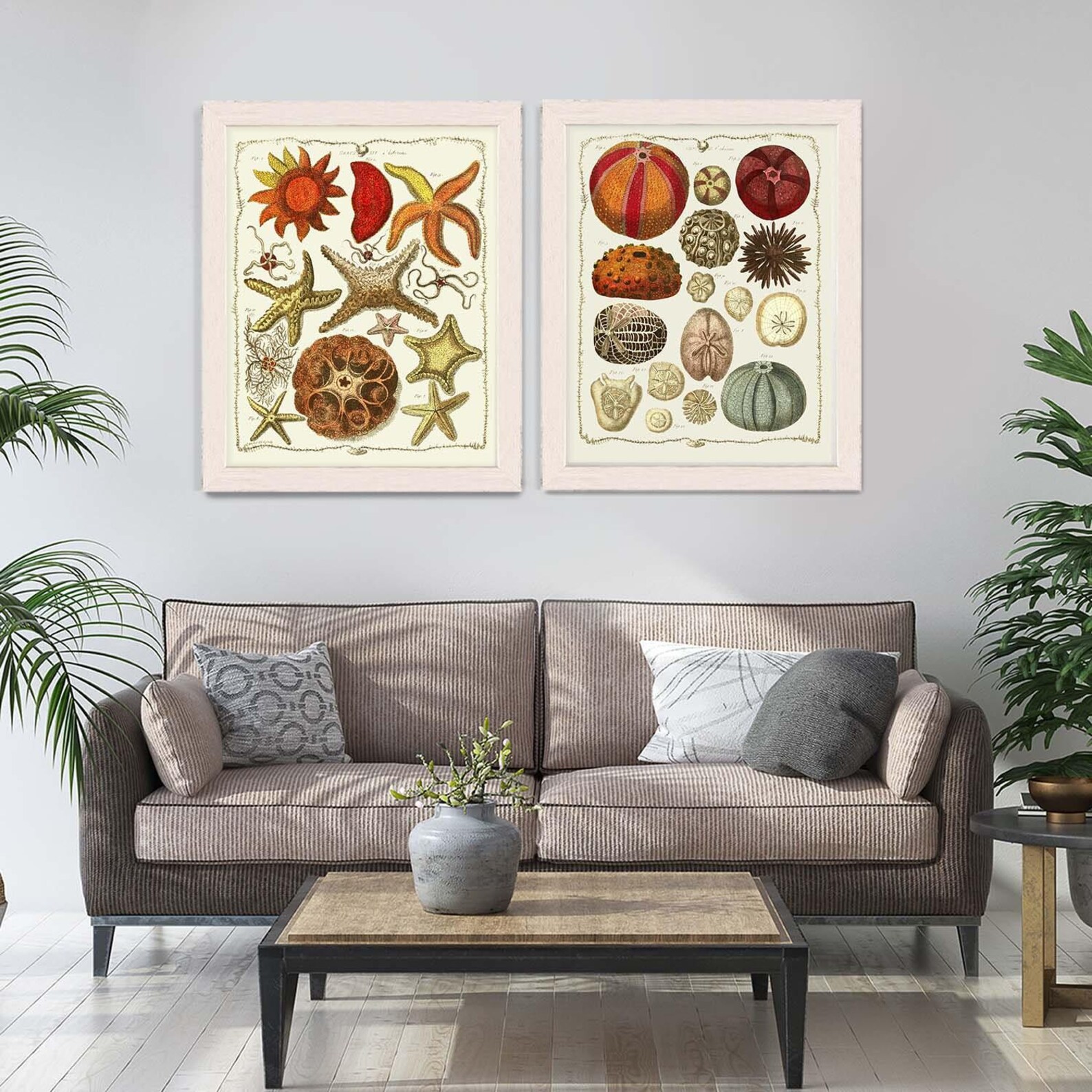 Starfish and Sea Urchin Prints, Set of 2 Nautical Print Beach Decor ...