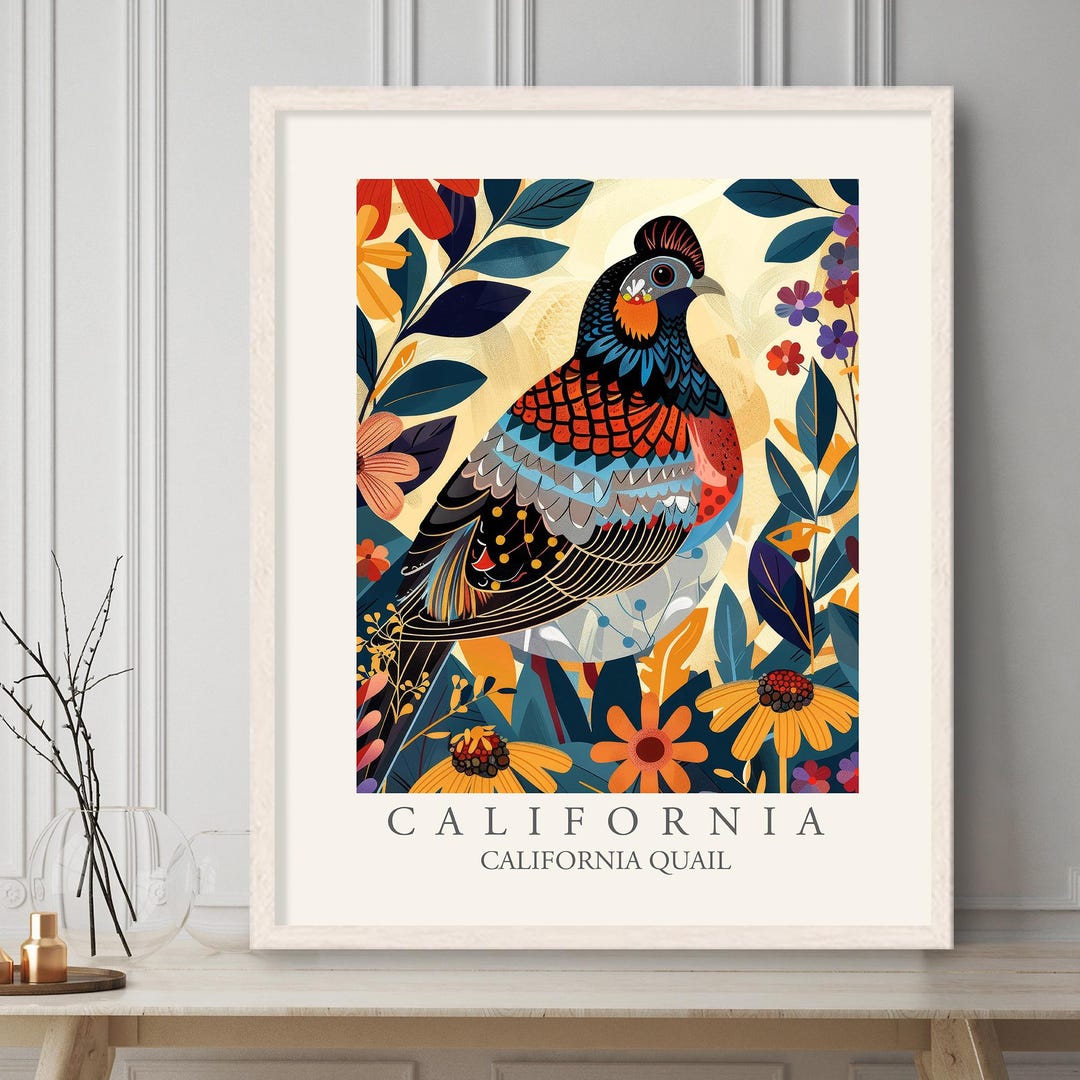 California Quail State Bird Print, Modern Abstract Style Wall Art Home ...