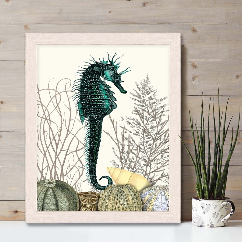 Seahorse Print Seahorse & Sea Urchins Nautical Print Beach | Etsy