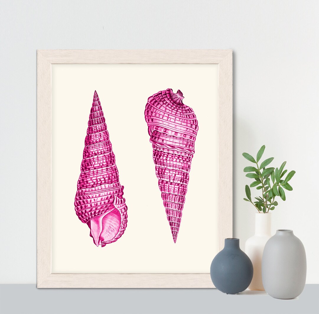 Seashell Art Print - Pink Shell Duo 1 - Sea Shell Art Print Sea Shell ...