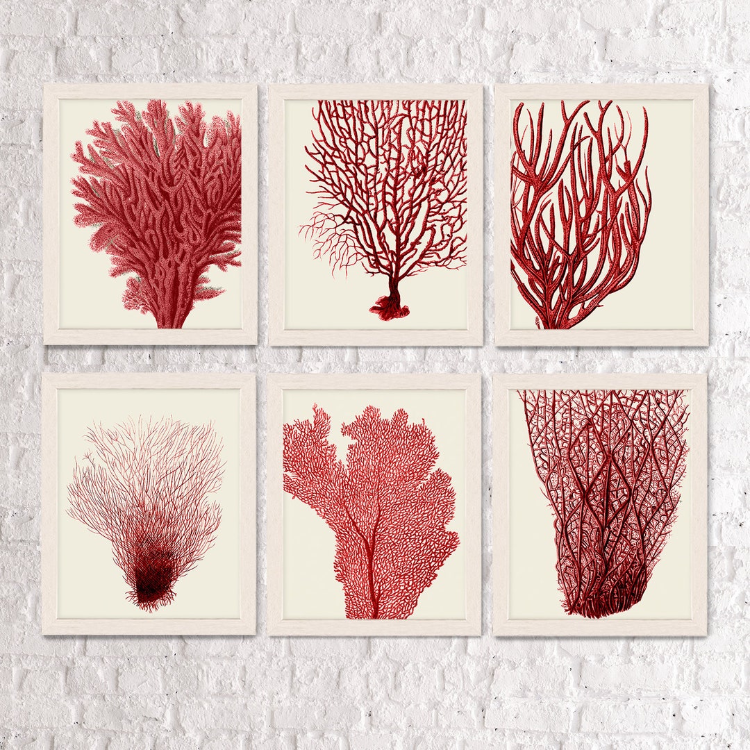 Set of 6 Red Coral Prints Sea Coral Print Nautical Print Nautical Art ...
