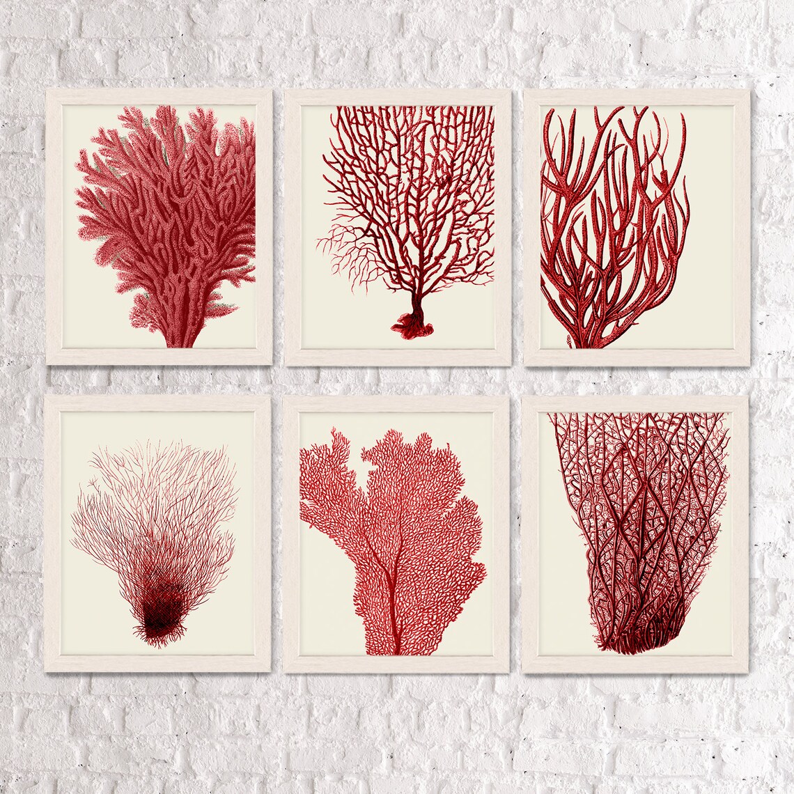 Set of 6 Red Coral Prints Sea Coral Print Nautical Print - Etsy