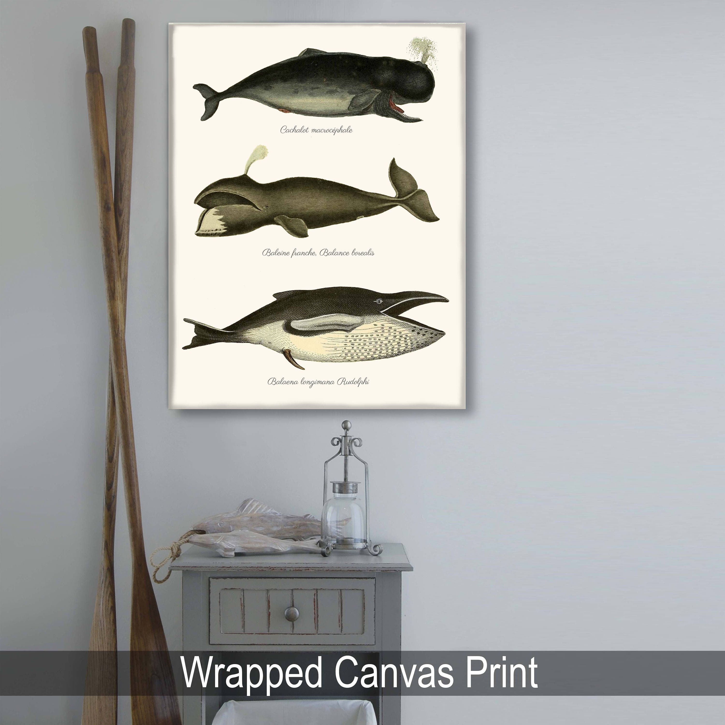 Whale poster Trio of Whales whale print whale art print | Etsy