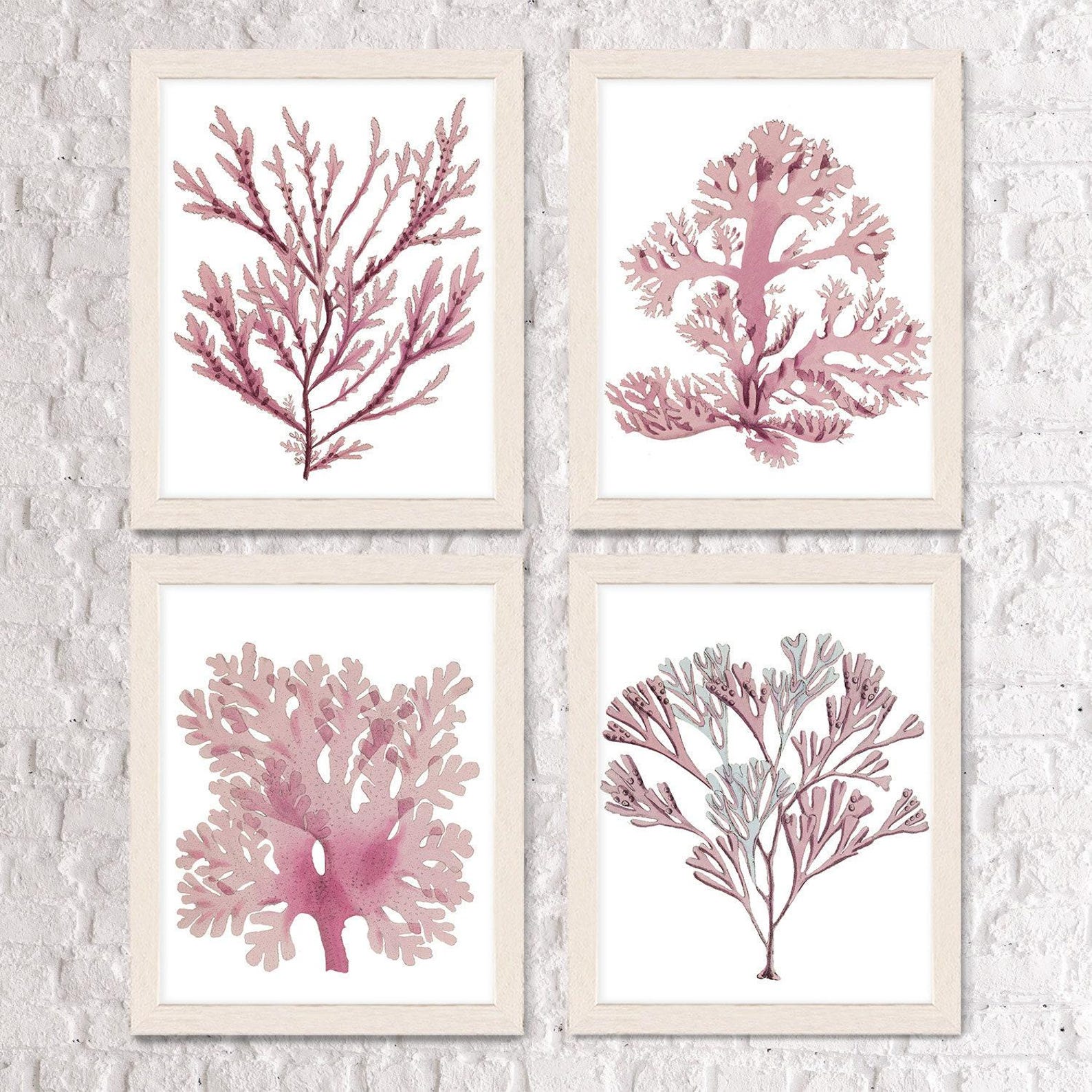 Pink Coral Prints Set of 4 Corals in Pink - Coral Wall Art Sea Coral ...