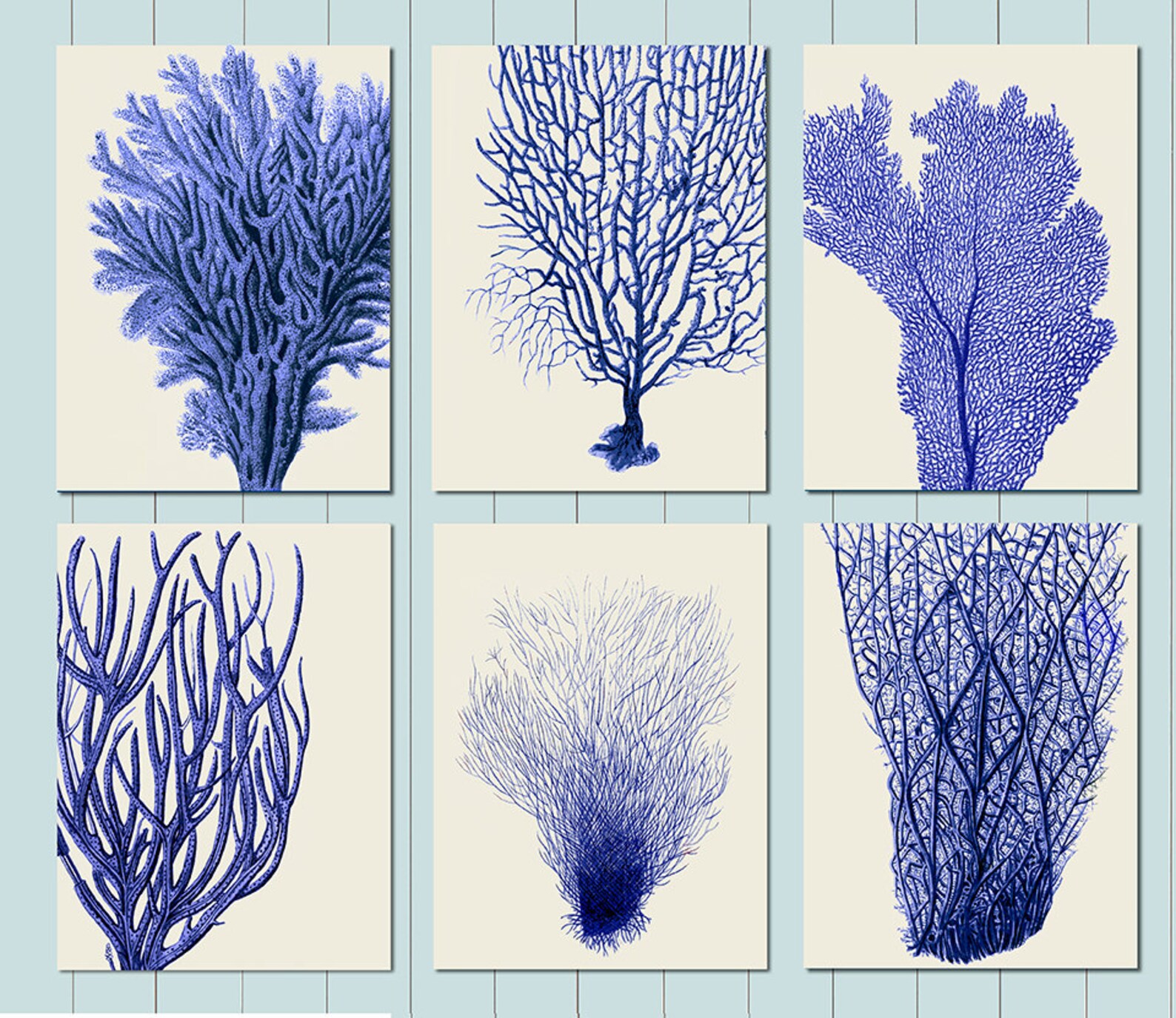Blue Coral Prints 1 Set of 6 Nautical Print Sea Picture | Etsy