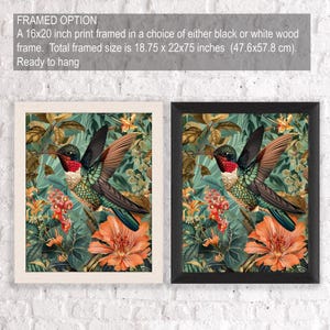 Hummingbird Wall Art, Hummingbird Print, Colourful Bold Vintage Style ...