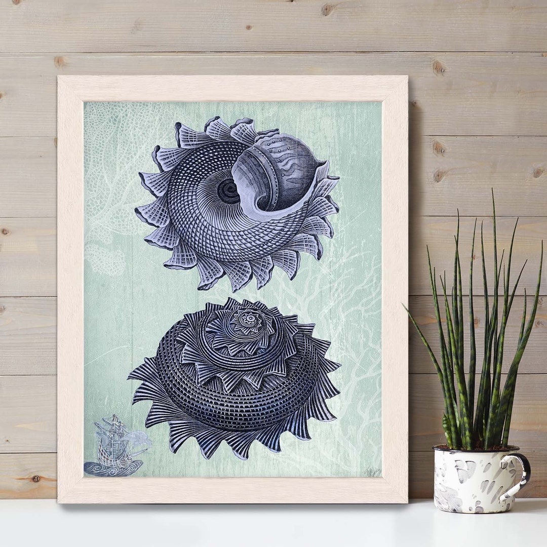 Blue Sea Shell Art Print - Duo 2 - Seashell Art Print Seashell Print ...