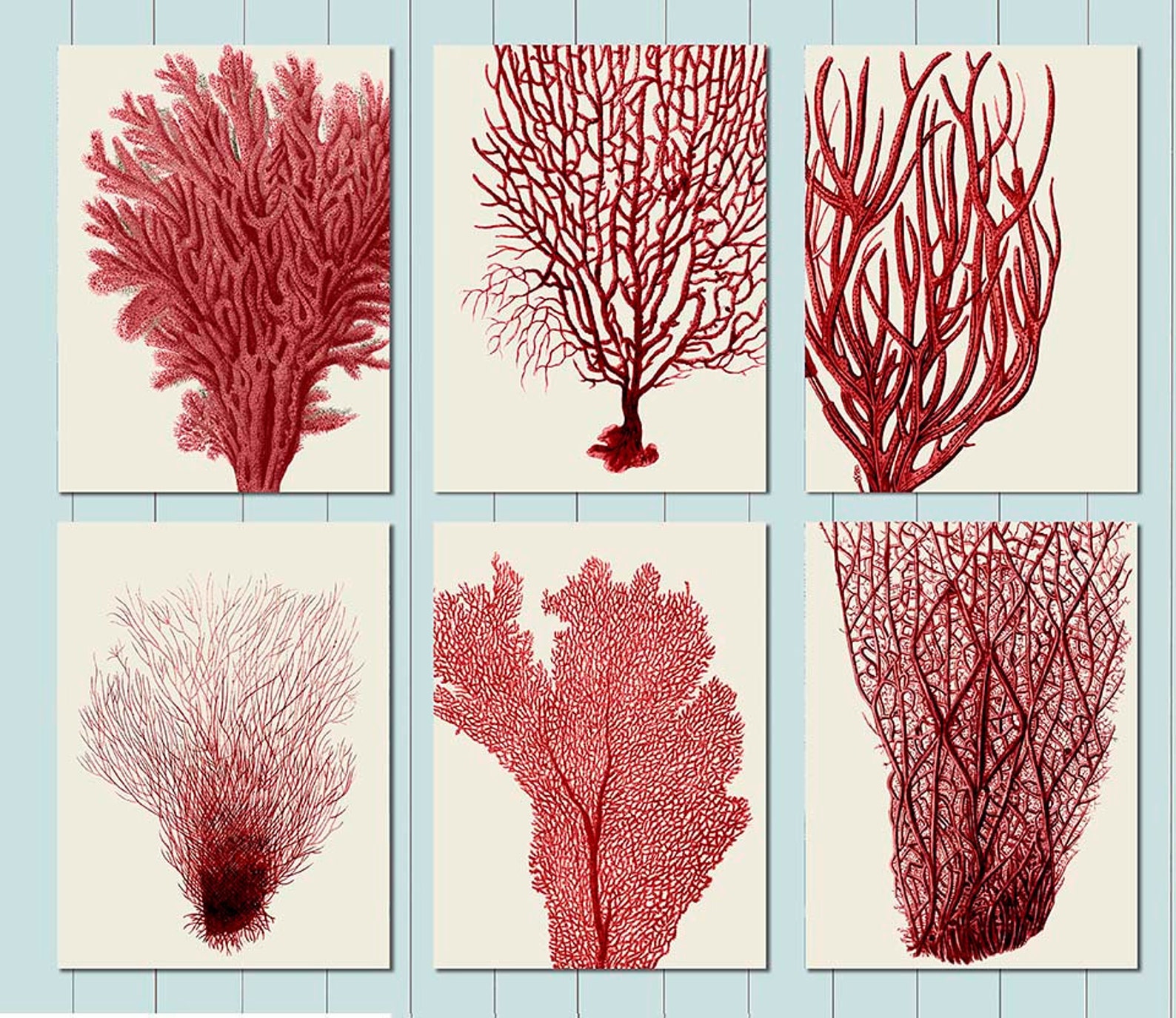 Set of 6 Red Coral Prints Sea Coral Print Nautical Print - Etsy