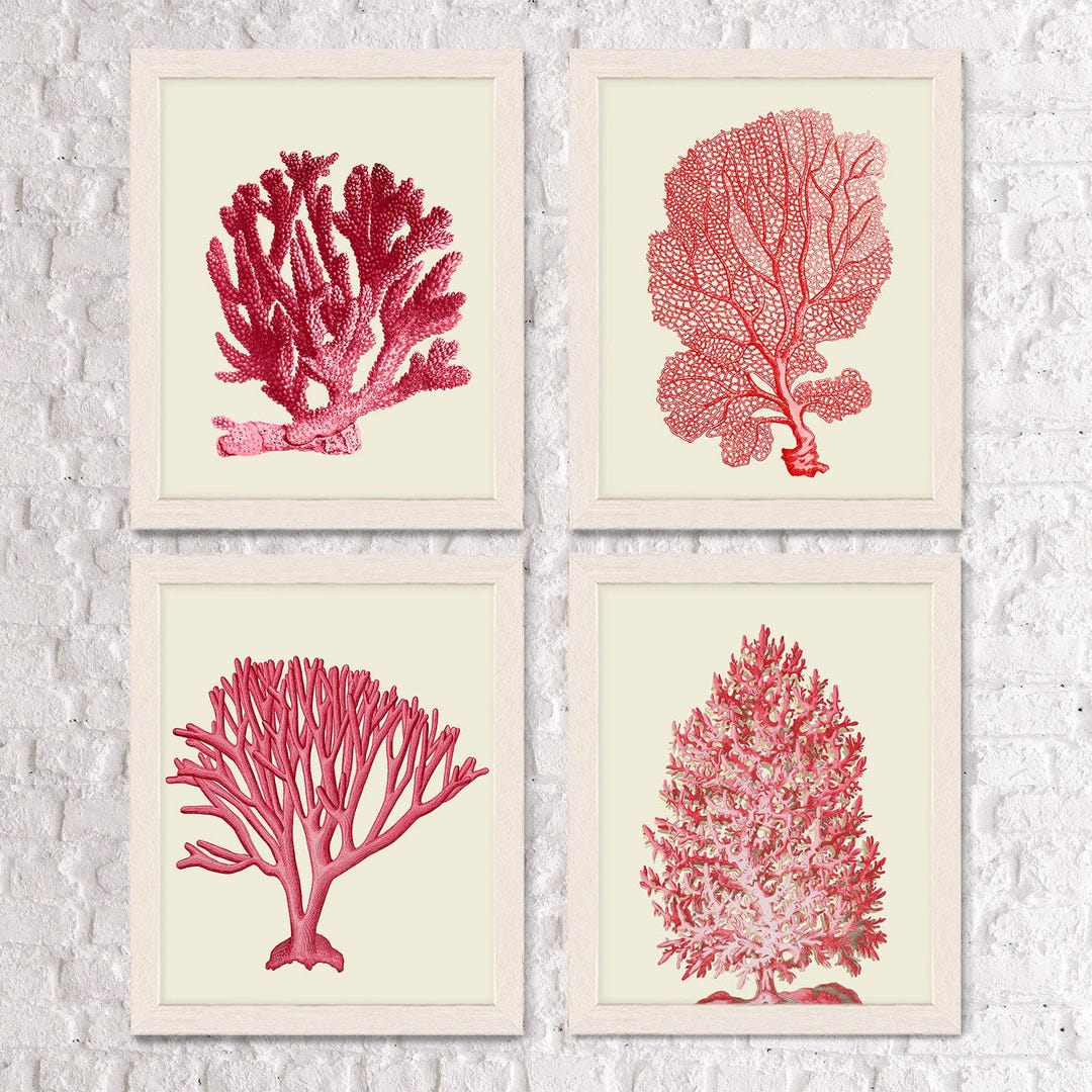 Coral Print - Set of 4 Red Coral Art Prints Nautical Print Coral Home ...