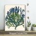 Coral Prints Set of 2 Blue and Green Coral Art Prints Coral - Etsy